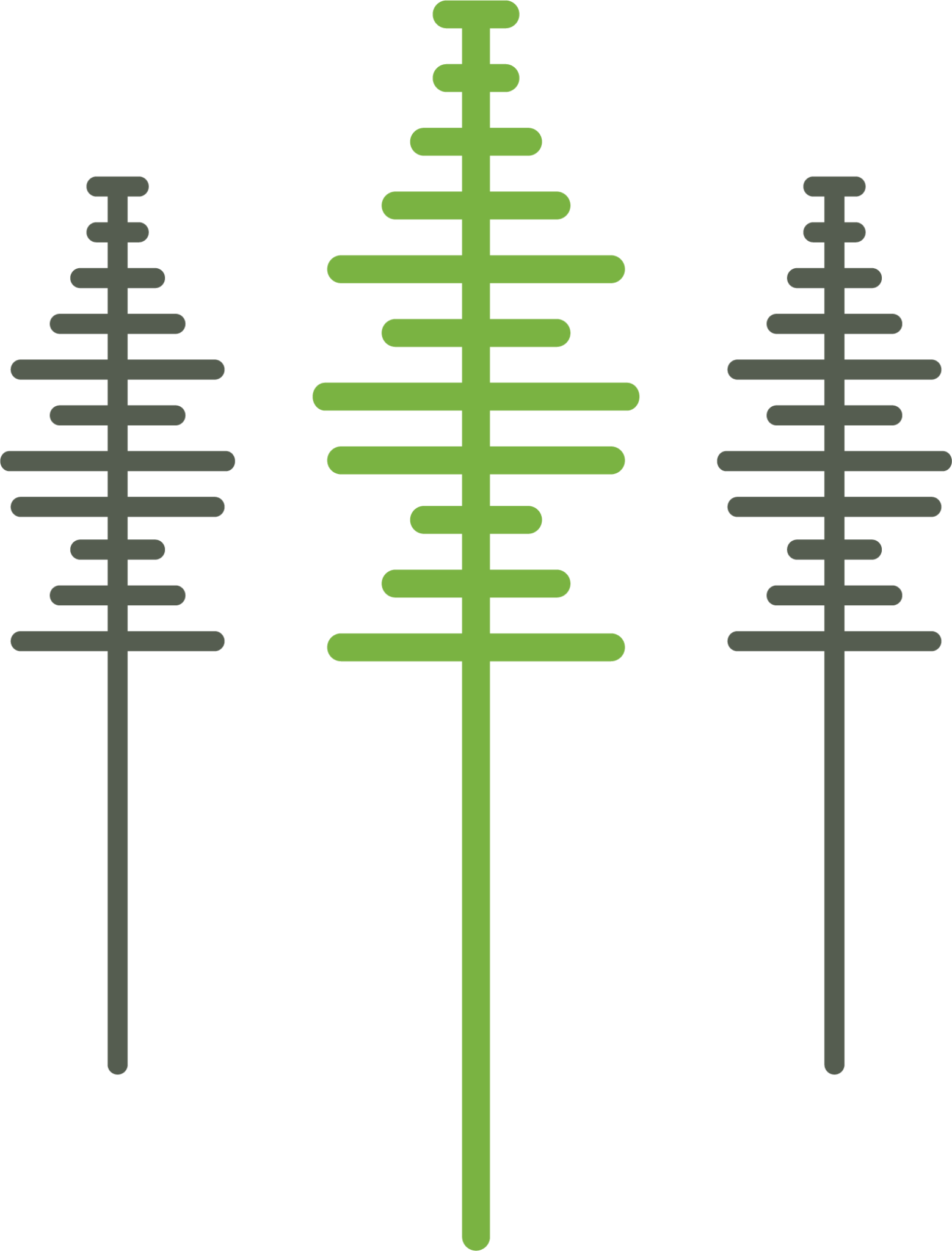 Our Story - Christian Timber Reserve