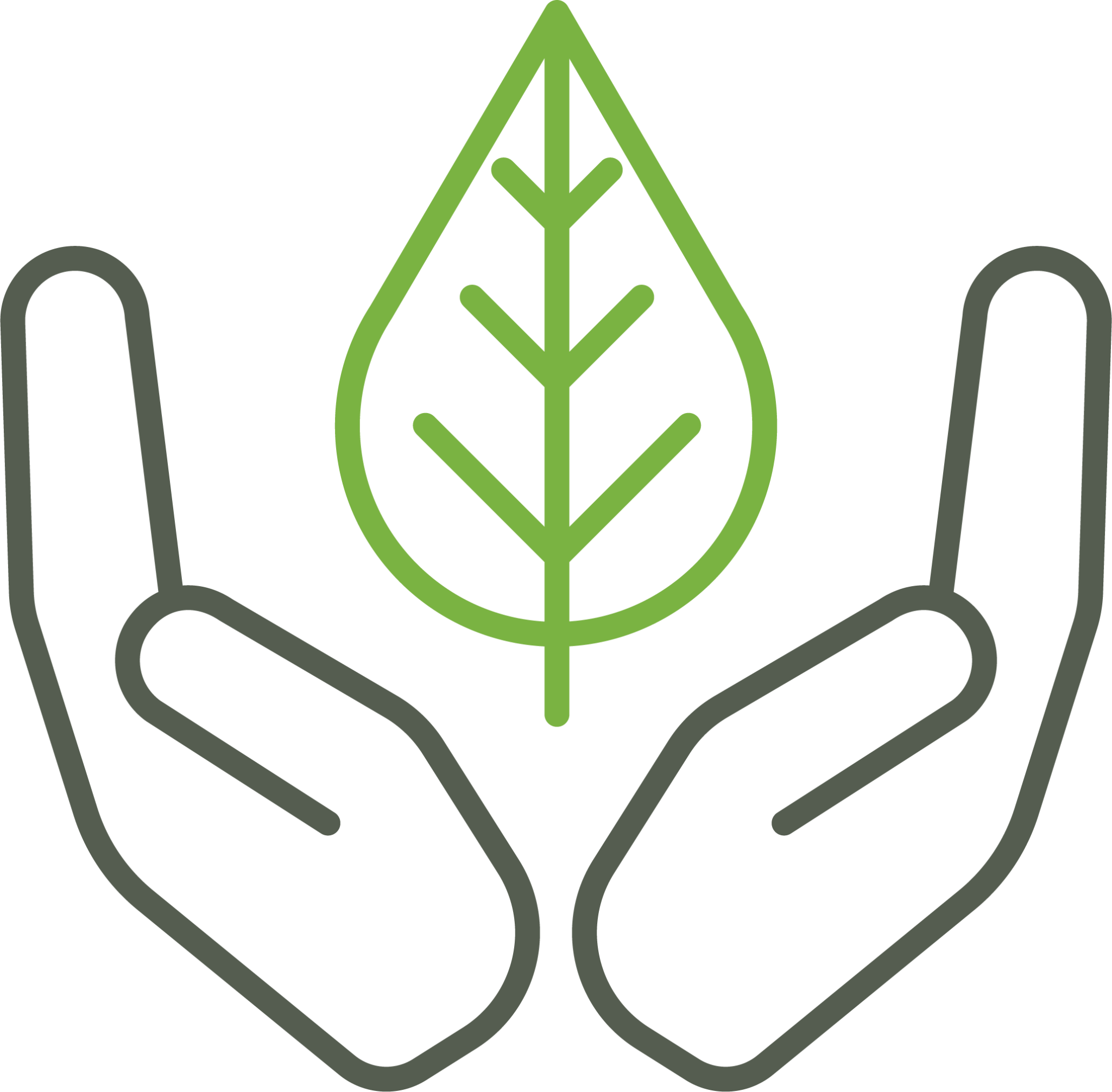 Stewardship - Christian Timber Reserve